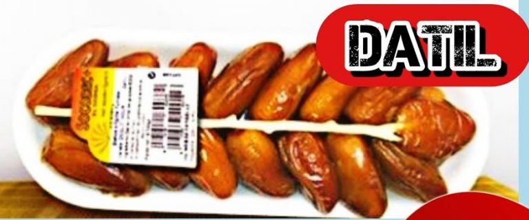 ⇨ Cómo germinar dátiles de palmeras ⇨ Huerta Forestal